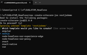 Implementing Next.js application with Sitecore SXA Headless – Ramiro's Sitecore Blog