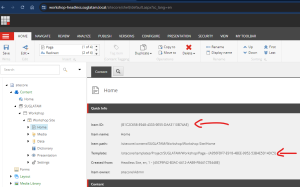 Implementing Next.js application with Sitecore SXA Headless – Ramiro's Sitecore Blog